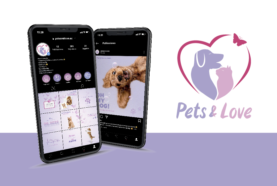 Pets & Love - Colmena Design