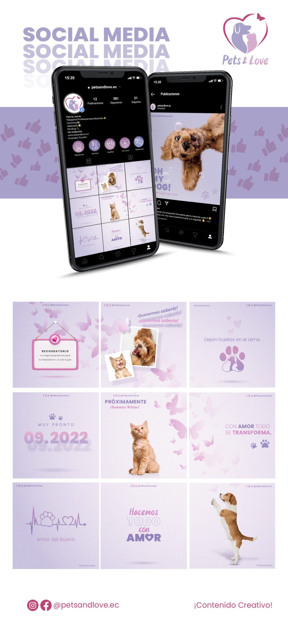 Pets & Love - Colmena Design
